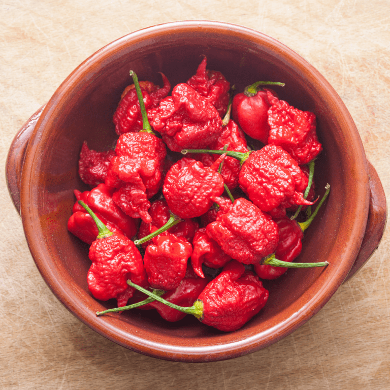 10 Facts About Chilies!
