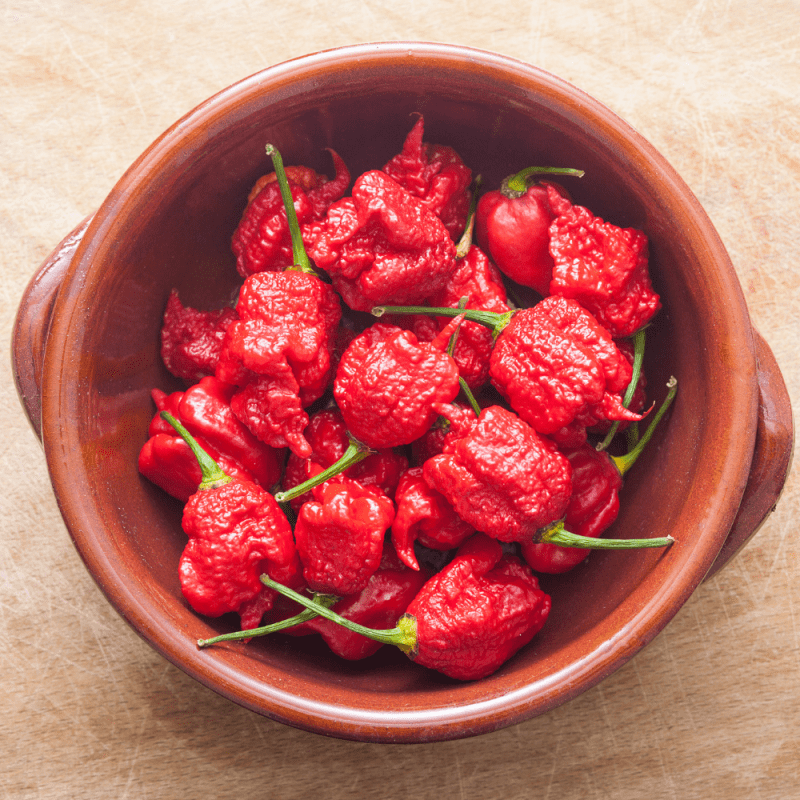 10 Facts About Chilies!
