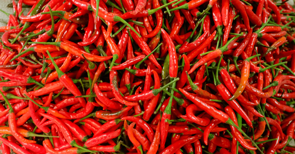 Peri Peri - Discover The Chili Pepper's Fiery Secrets