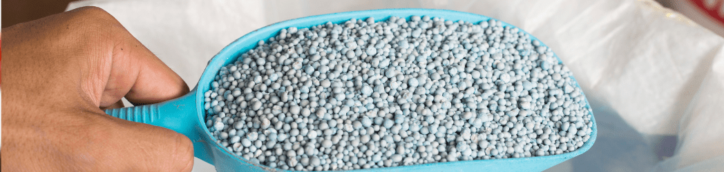 How To Grow Habanero Peppers 101 - Chili Growing Tips!