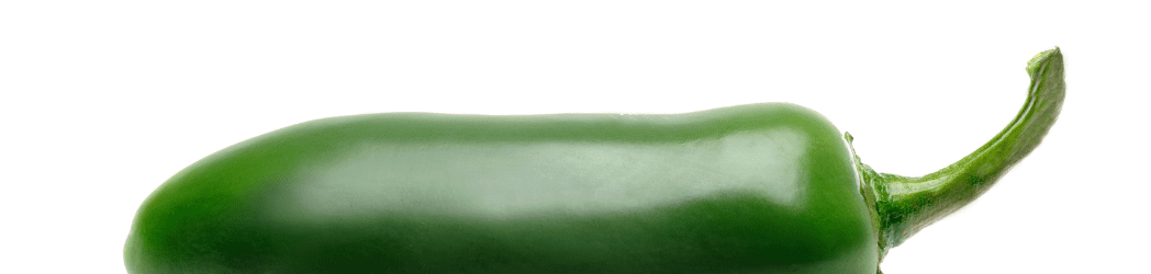 The Jalapeño, Everything You Need To Know!