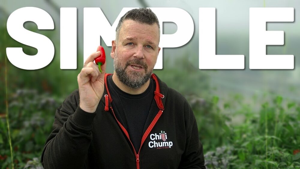 ChilliChump – Your Ultimate Guide to Growing Chillies & Making Hot ...
